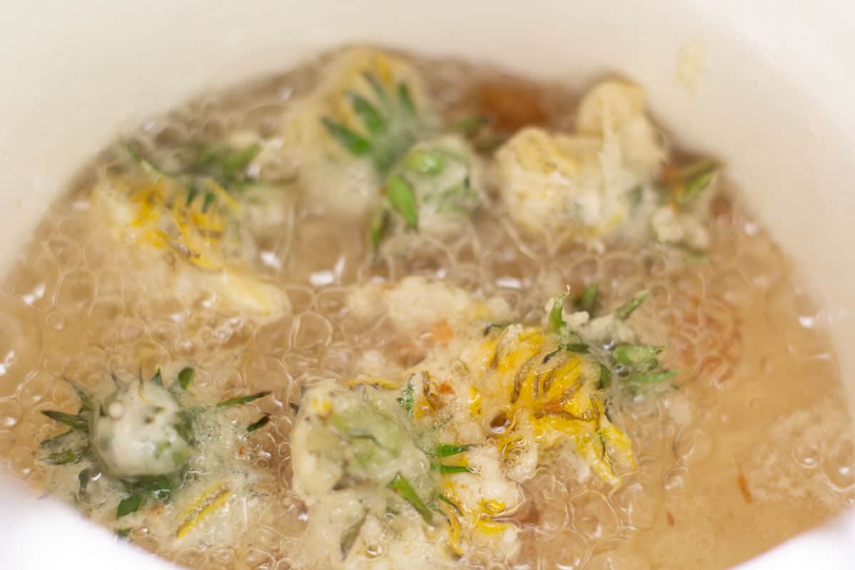 Sourdough Dandelion Flower Fritters - An Easy Spring Recipe - Wild ...