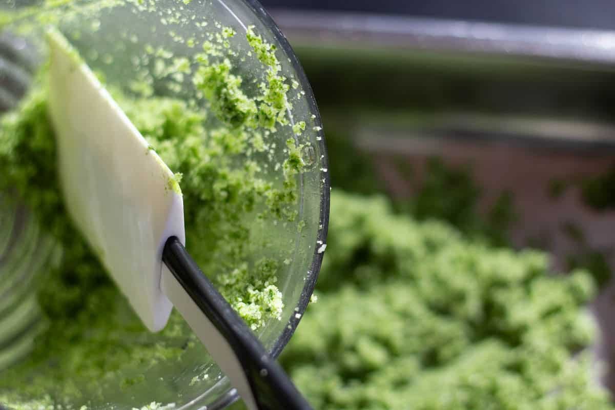 How To Make Wild Garlic Salt Using Fresh Wild Garlic - Wild Nordic Kitchen