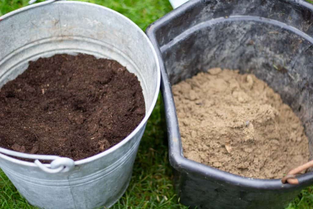 How To Grow Wildflowers In Pots And Containers - Easy Guide - Wild ...
