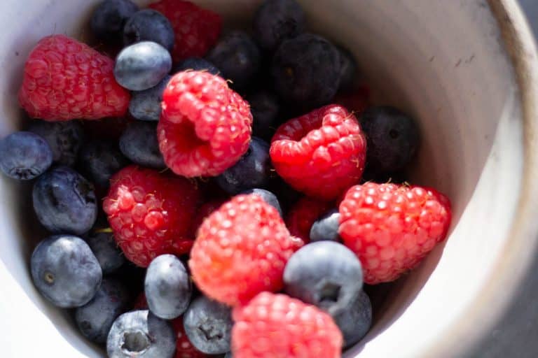 Swedish Queen's Jam Recipe (Blueberry Raspberry Jam) - Wild Nordic Kitchen